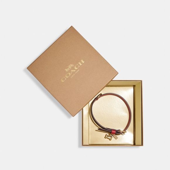 Coach | Accessories | Nwt Coach Outlet Boxed Medium Pet Collar In ...